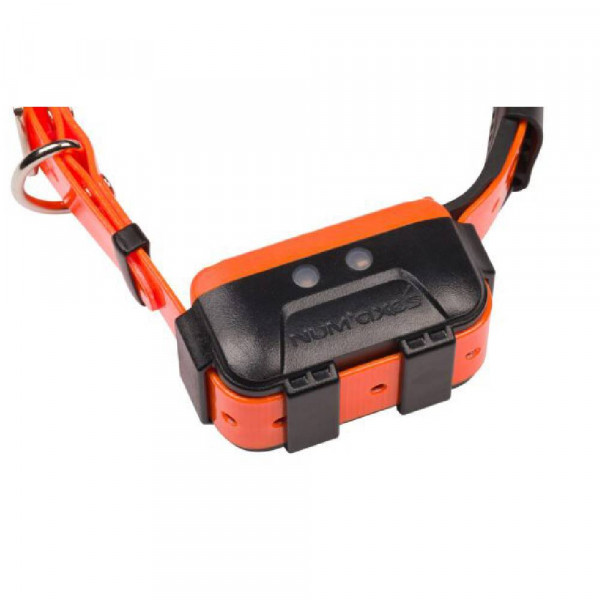 Collier CANICOM GPS 2 Supplémentaire – Localisation 15 km – Éducation ...