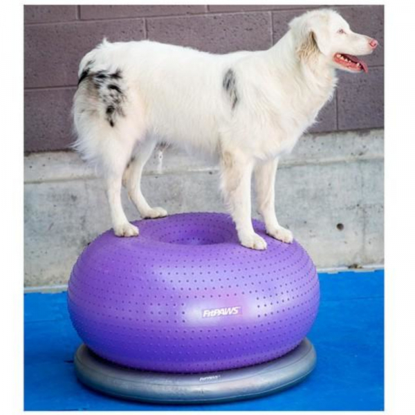 Donut gonflable FitPaws Trax pour chiens – entraînement physique ...