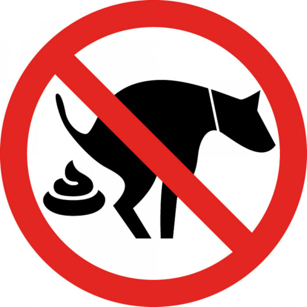 Pictogramme "Panneau déjection canine interdite" en PVC rigide sur ...